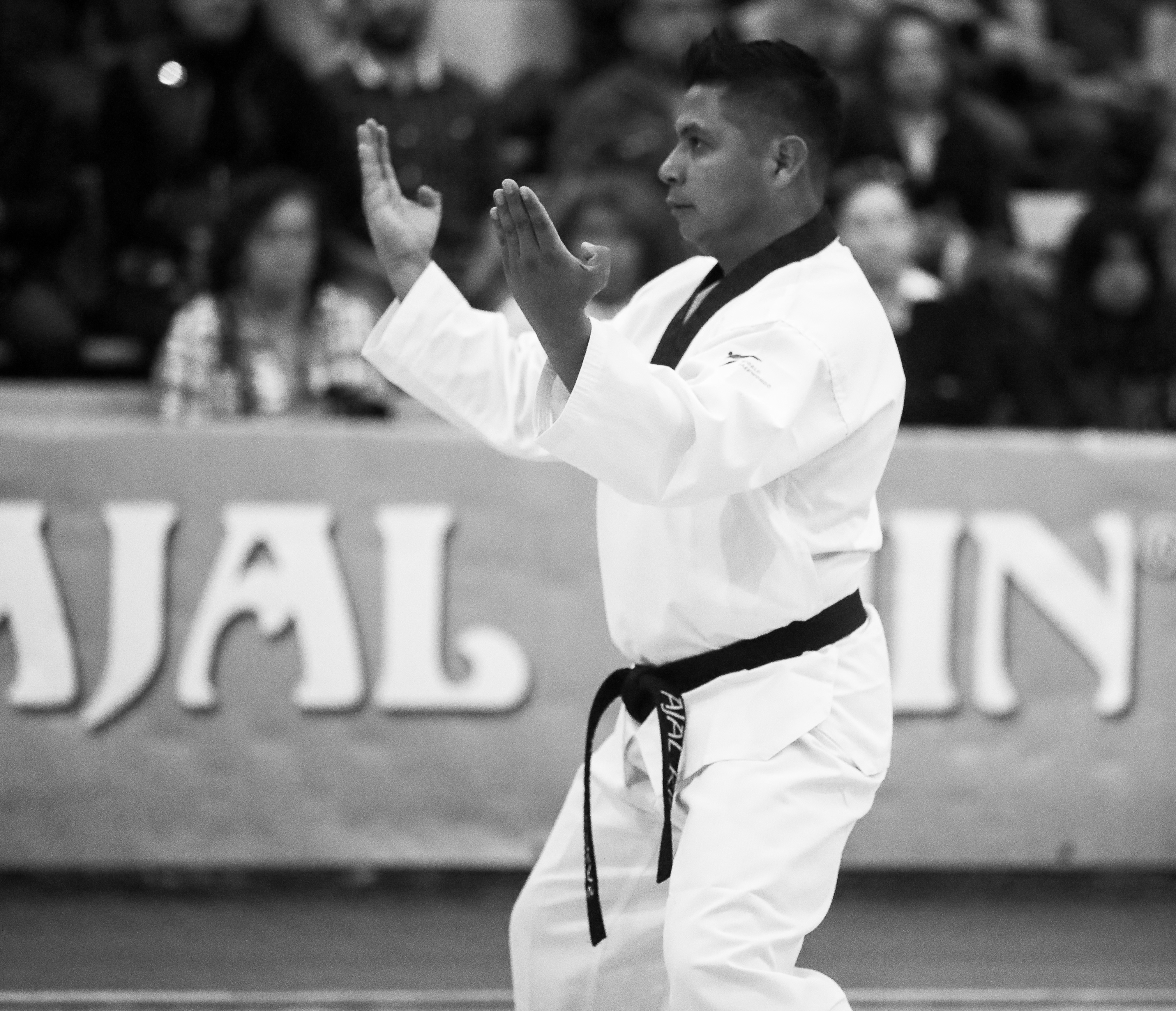 Galería — Ajal Kiin