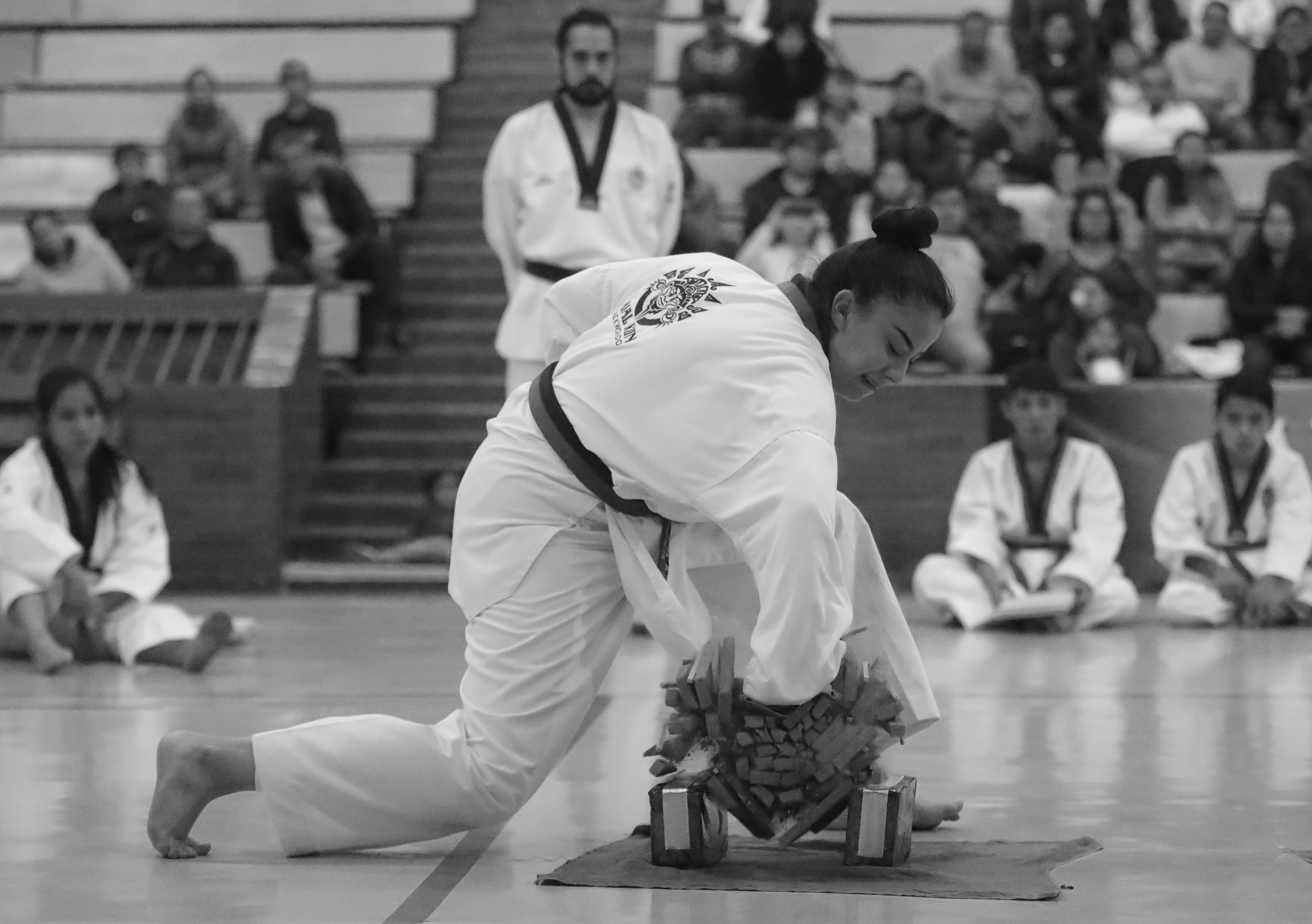 Galería — Ajal Kiin